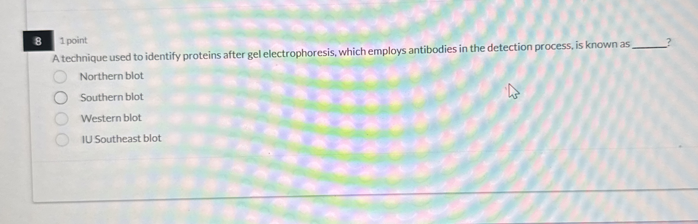 Solved 81 ﻿pointA technique used to identify proteins after | Chegg.com