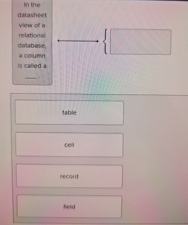 Solved In the datasheetview of a relational database, a | Chegg.com