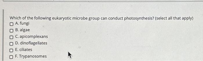 Solved Which eukaryotic microbe group has highly | Chegg.com