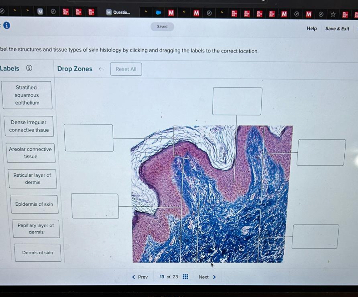 Solved (i)Questio...HelpSave & Exitbel the structures and | Chegg.com