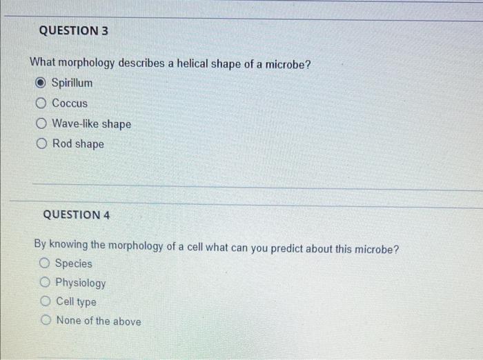 Solved What morphology describes a helical shape of a | Chegg.com