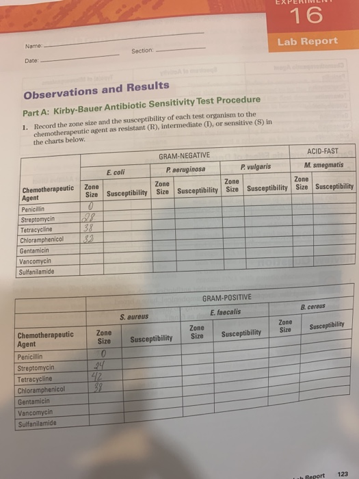 Solved 16 Name: Section Lab Report Date Observations and | Chegg.com