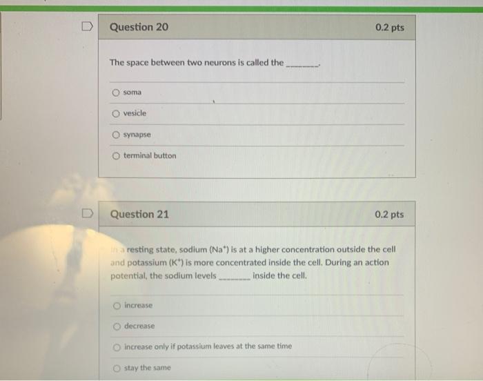 Solved Question 20 0.2 pts The space between two neurons is | Chegg.com