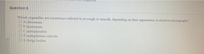 Solved Question 5 assemble, separate the celle duplicated | Chegg.com
