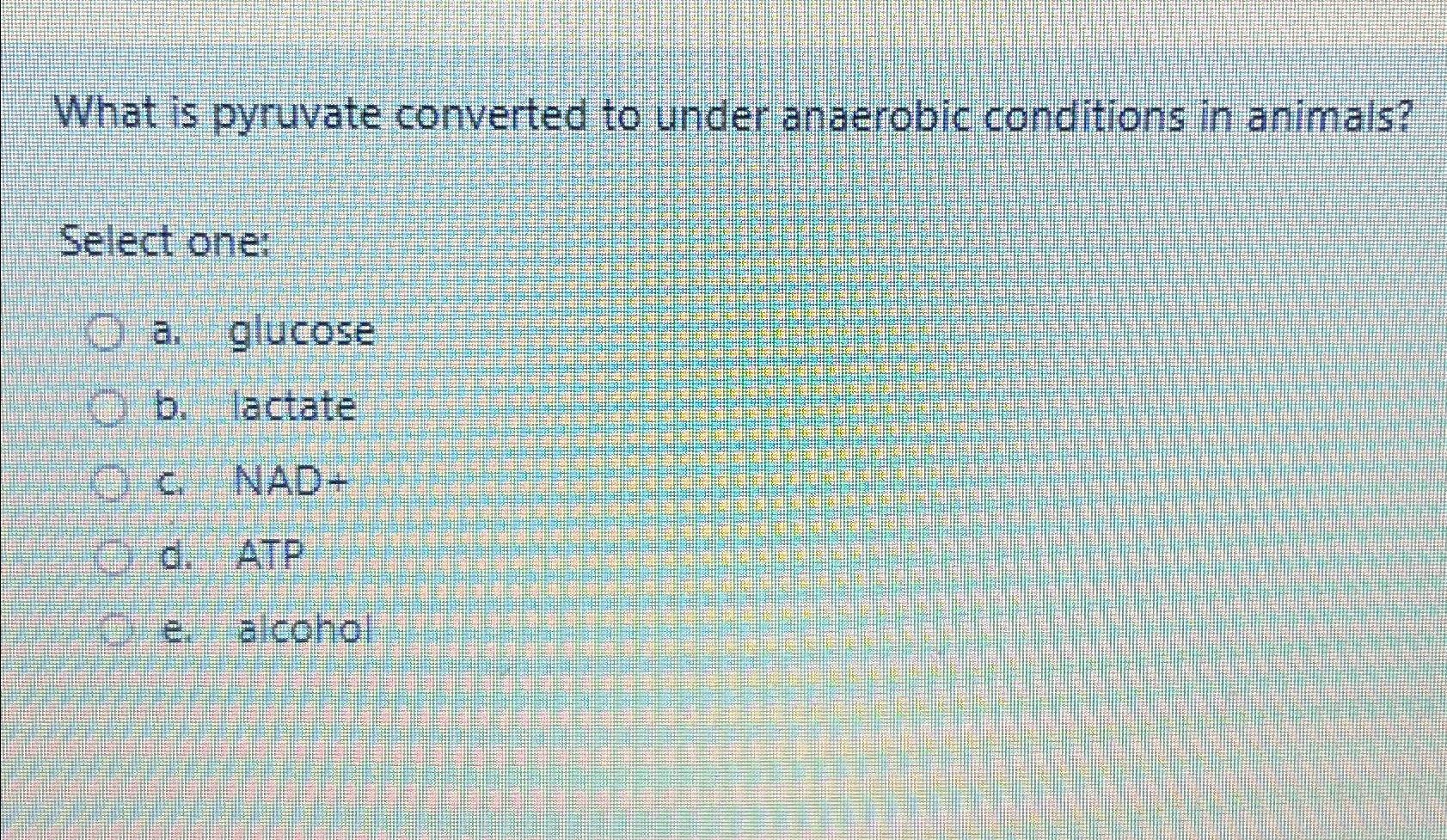 Solved What is pyruvate converted to under anaerobic | Chegg.com