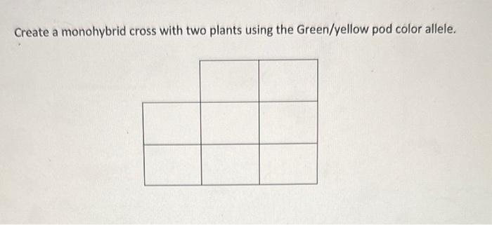 Solved Create a monohybrid cross with two plants using the | Chegg.com