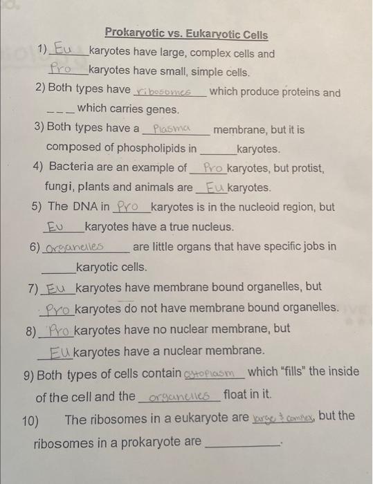 Solved Prokaryotic vs. Eukaryotic Cells 1) Eu____karyotes | Chegg.com