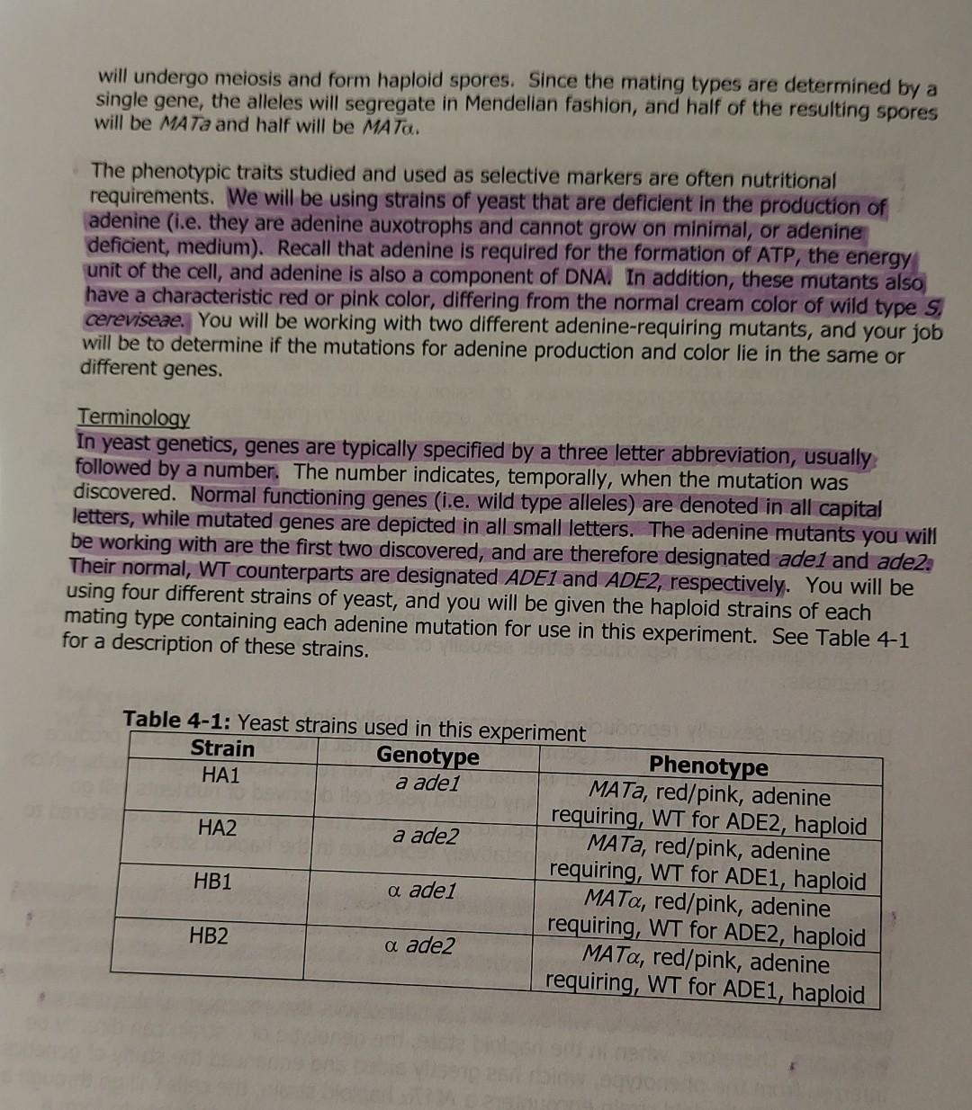 Solved Lab 4: Yeast Complementation Purpose In this | Chegg.com