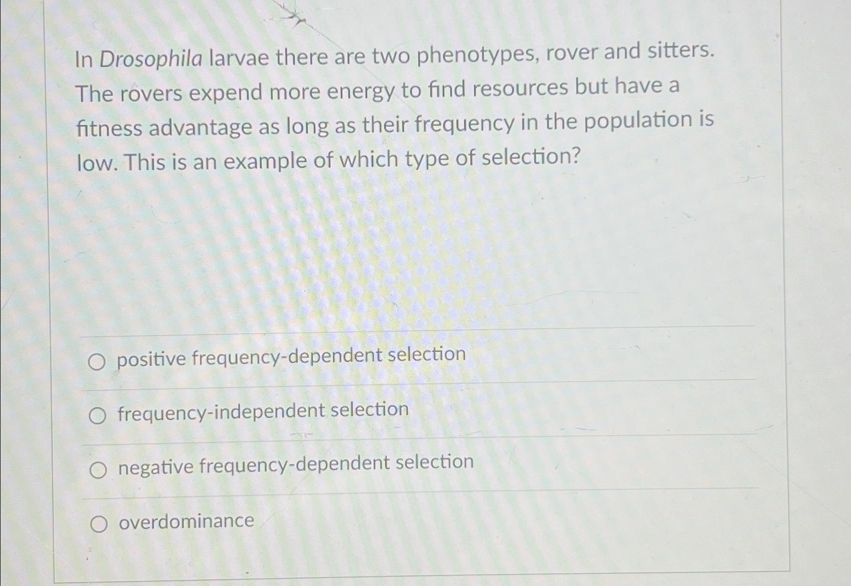 Solved In Drosophila larvae there are two phenotypes, rover | Chegg.com