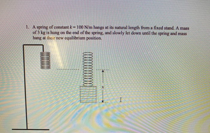 Solved 1. A spring of constant k = 100 N/m hangs at its | Chegg.com