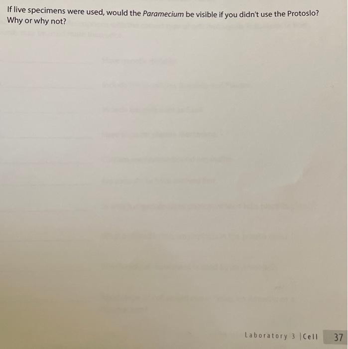 Solved If live specimens were used, would the Paramecium be | Chegg.com