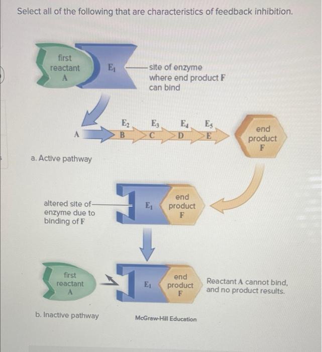 Solved Select all of the following that are characteristics | Chegg.com