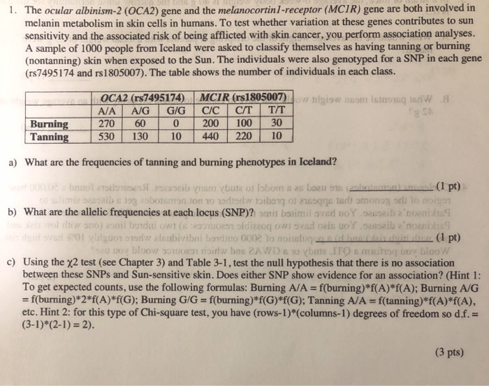 Solved The ocular albinism-2 (OCA2) gene and the | Chegg.com