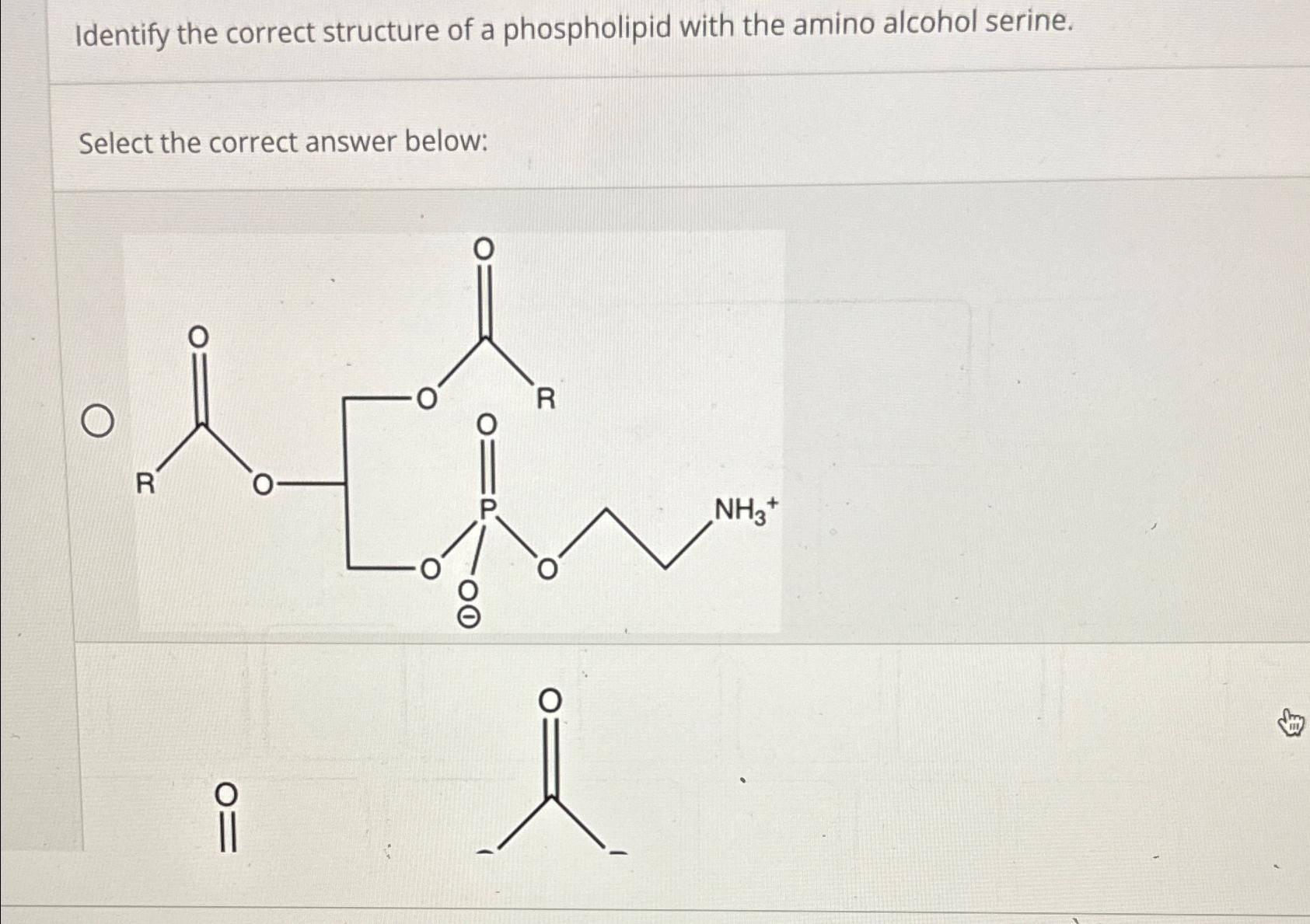 Identify the correct structure of a phospholipid with | Chegg.com