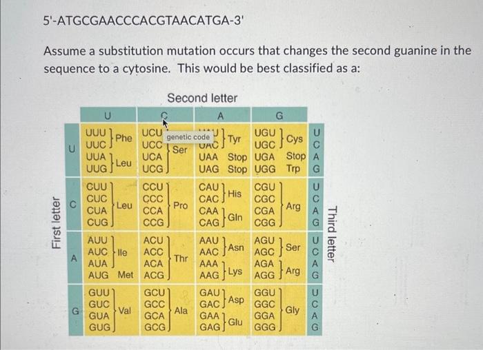 Solved Amino acids groups Consider the following DNA coding | Chegg.com
