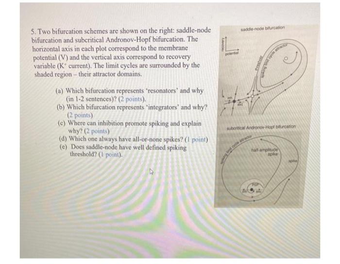 5. Two bifurcation schemes are shown on the right: | Chegg.com