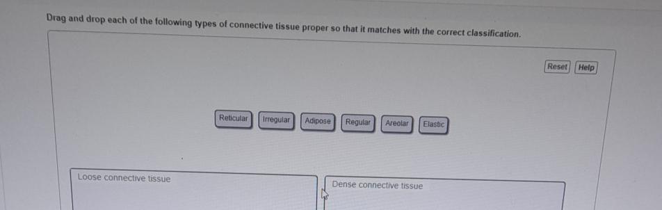 Solved Drag and drop each of the following types of | Chegg.com