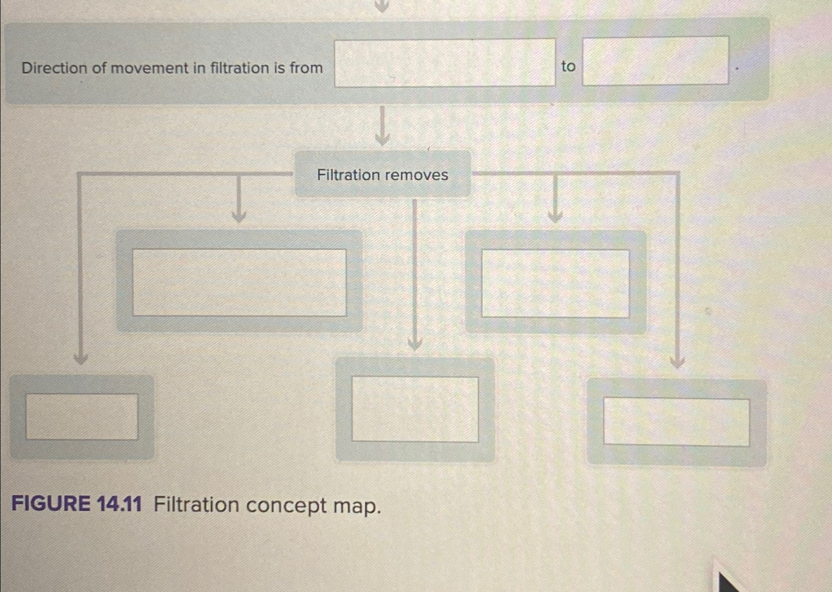 Solved Direction of movement in filtration is from ﻿to | Chegg.com