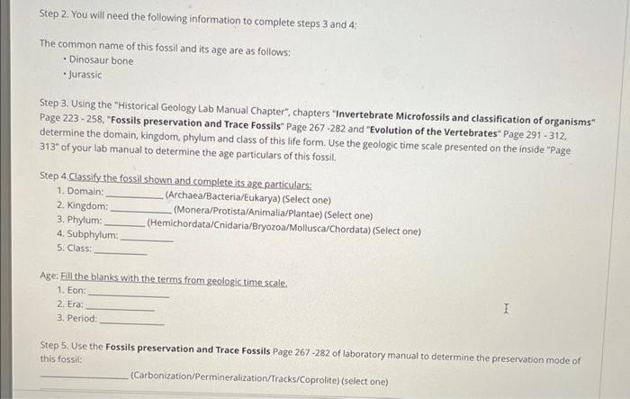 Solved Step 1. Study the visual characteristics and features | Chegg.com