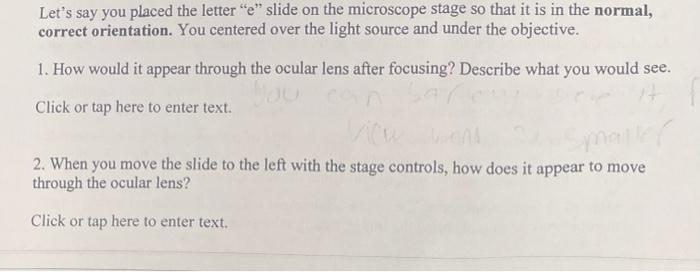 Solved Let's say you placed the letter "e" slide on the | Chegg.com