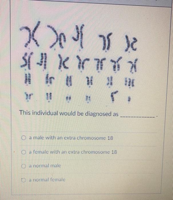 Solved If \&ोi: le if if is it if if it ito if if " " 3 This | Chegg.com
