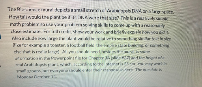 The Bioscience mural depicts a small stretch of | Chegg.com