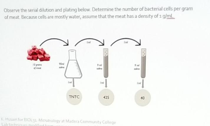 Solved Observe the serial dilution and plating below. | Chegg.com