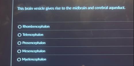 Solved This brain veside gives rise to the midbrain and | Chegg.com