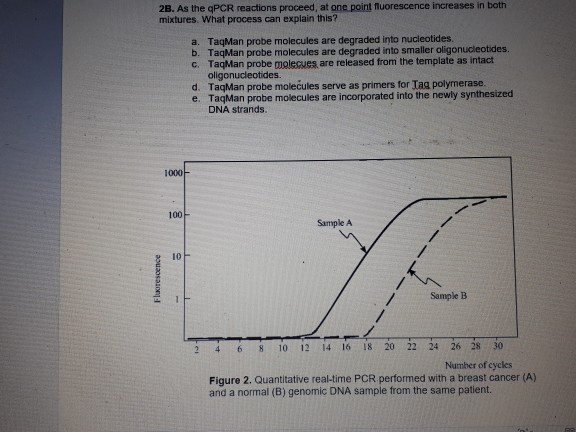 Solved In this problem, we will consider qPCR as a tool for | Chegg.com