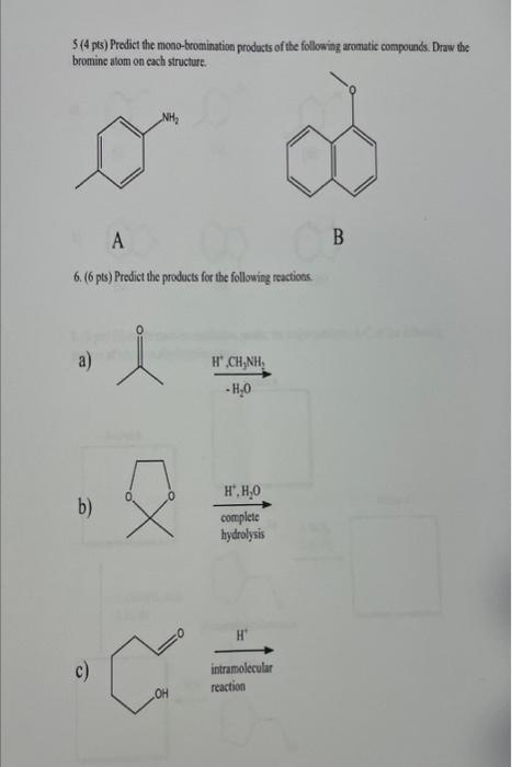 Solved 5 4pts Predict The Mono Bromination Prodacts Of The