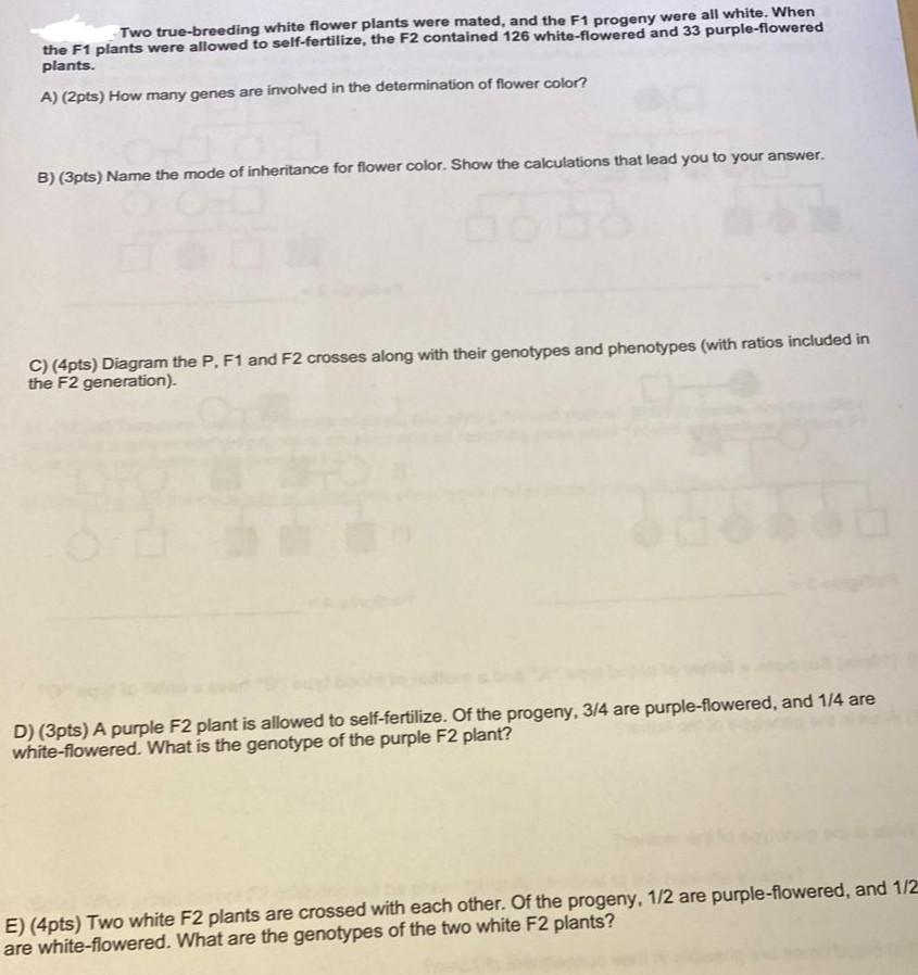 Solved answer all parts dont miss any part or don't solve. | Chegg.com