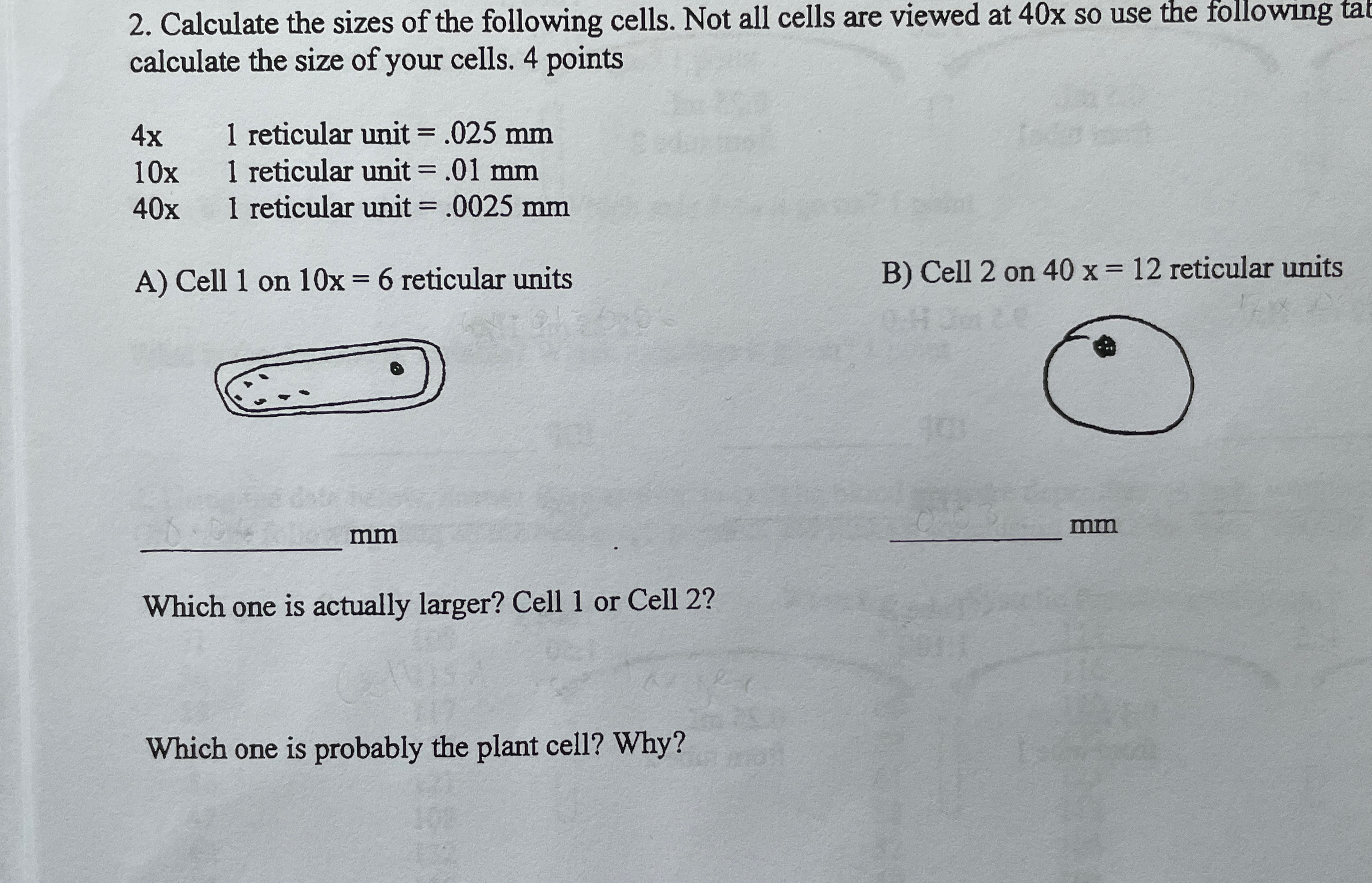 Solved Calculate the sizes of the following cells. Not all | Chegg.com