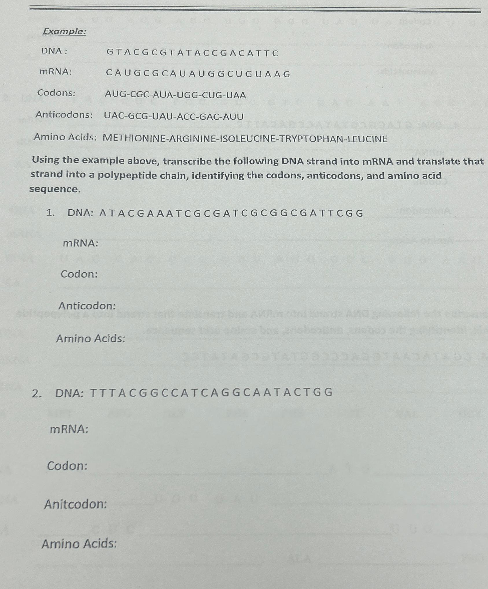 Solved Example:DNA :GTACGCGTATACCGACATTCmRNA: | Chegg.com