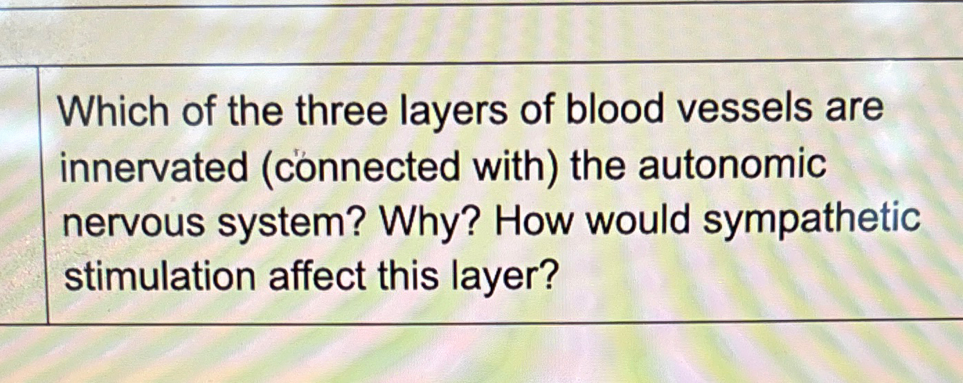 Solved Which of the three layers of blood vessels are | Chegg.com