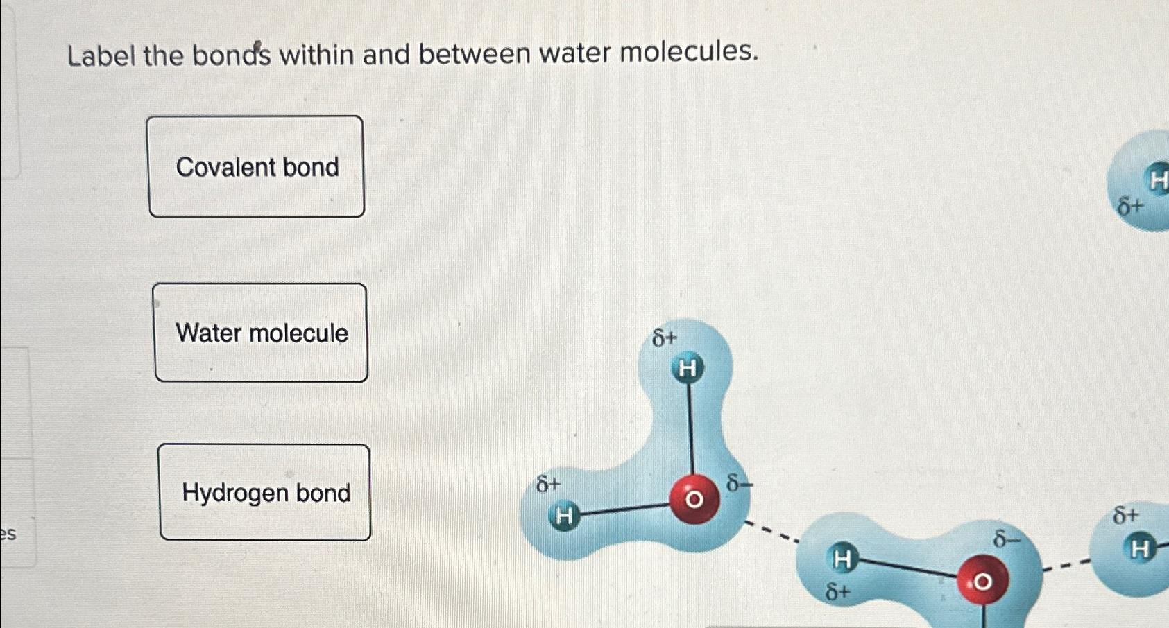 Solved Label the bonds within and between water molecules. | Chegg.com