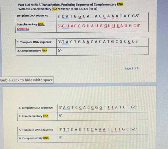Solved Template DNA sequence 3-C ATGGCATACCAA ATAC G-5' | Chegg.com