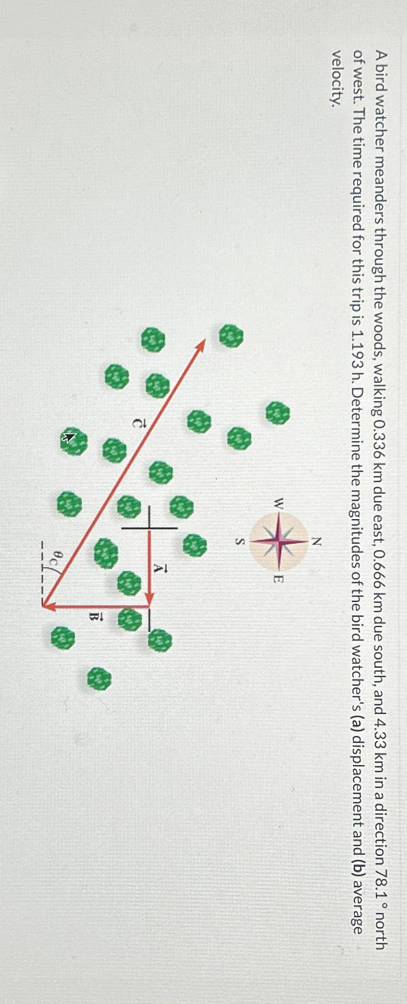 Solved A bird watcher meanders through the woods, walking | Chegg.com