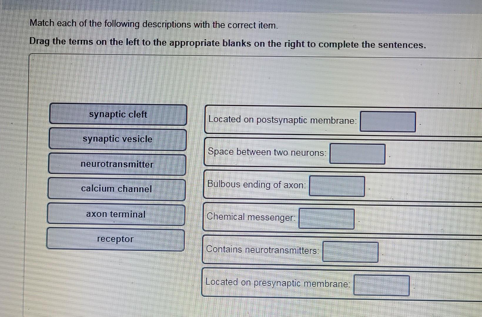 Solved Match each of the following descriptions with the | Chegg.com
