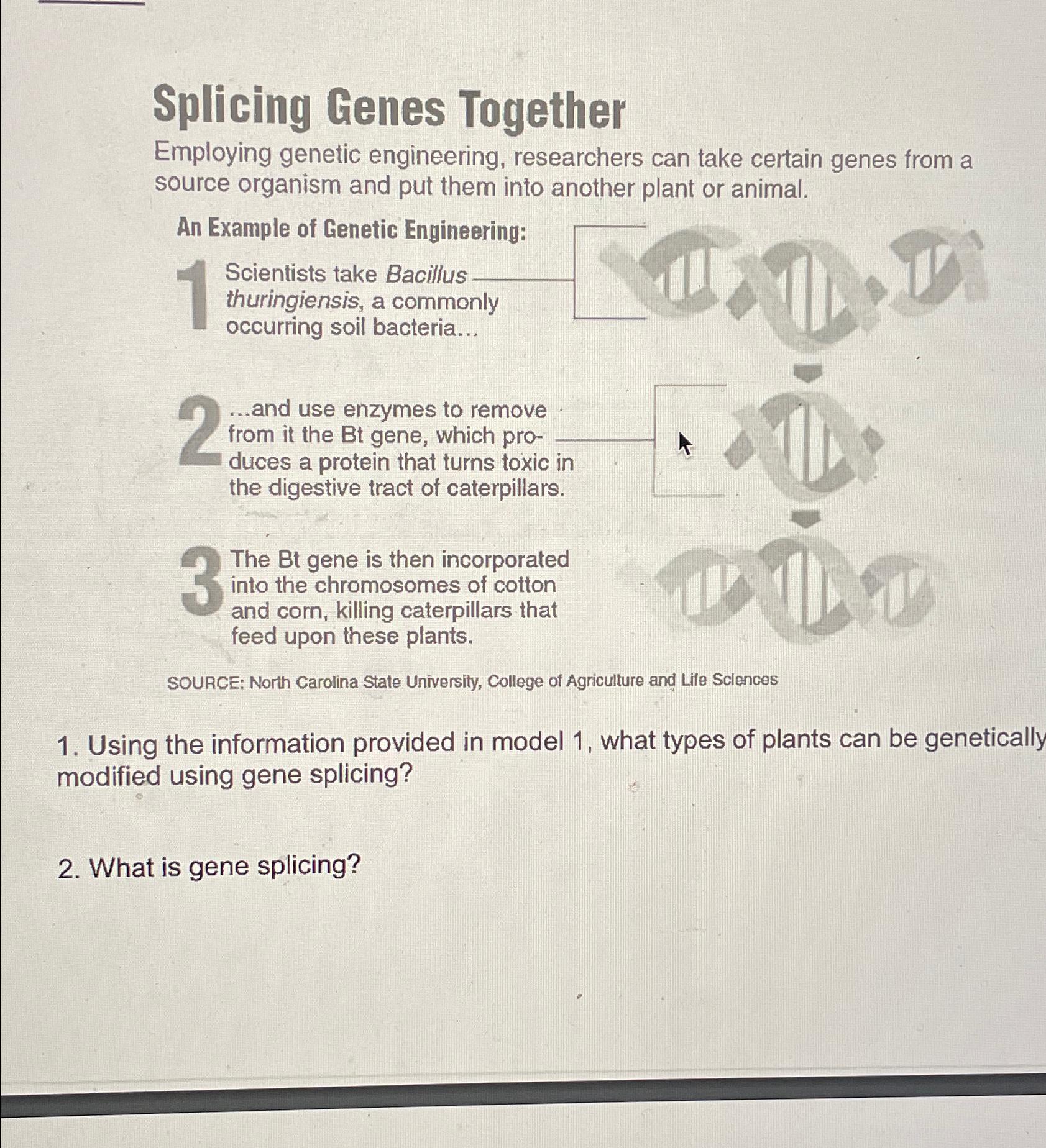 Solved Splicing Genes TogetherEmploying genetic engineering, | Chegg.com