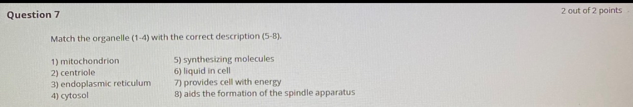 Solved Question 72 ﻿out of 2 ﻿pointsMatch the organelle | Chegg.com