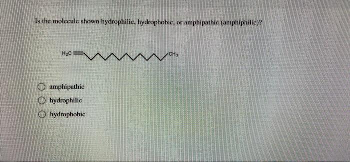 Solved Is the molecule shown hydrophilic, hydrophobic, or | Chegg.com