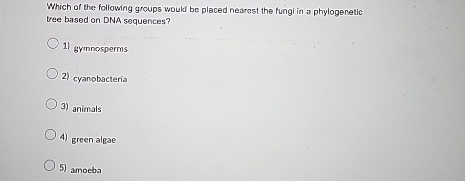 Solved Which of the following groups would be placed nearest | Chegg.com