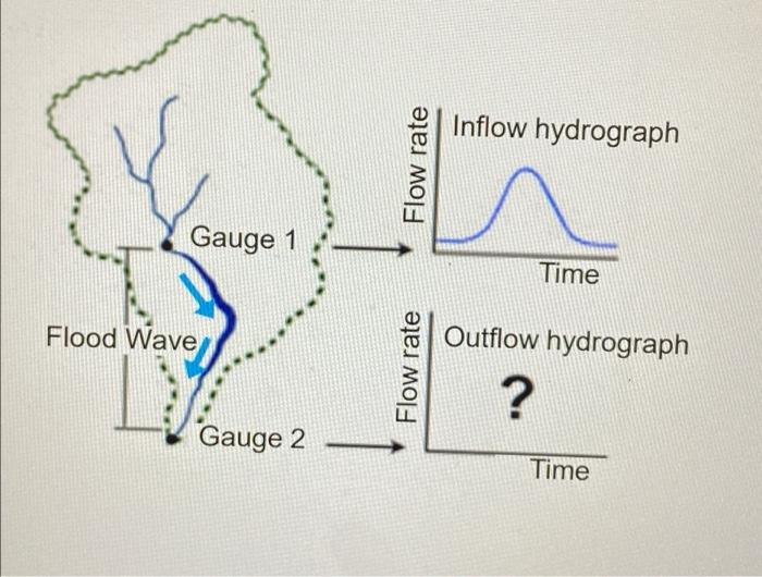 Solved What are the factors that affect an outflow | Chegg.com