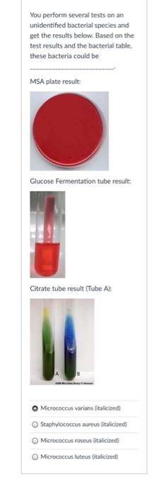 You perform several tests on an unidentified | Chegg.com