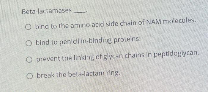 Solved Beta-lactamases O bind to the amino acid side chain | Chegg.com