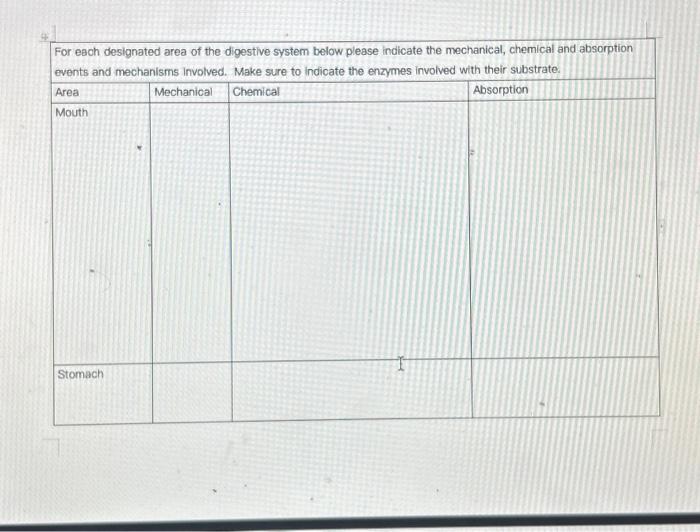 Solved For each designated area of the digestive system | Chegg.com