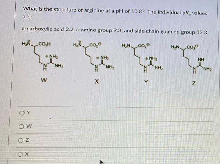 Solved What is the structure of arginine at a pH of 10.8? | Chegg.com