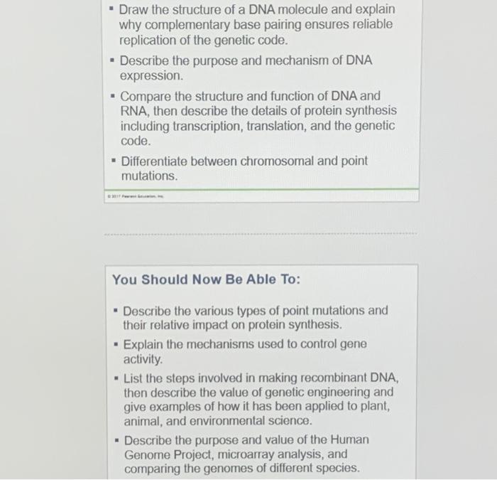 Solved Draw the structure of a DNA molecule and explain | Chegg.com