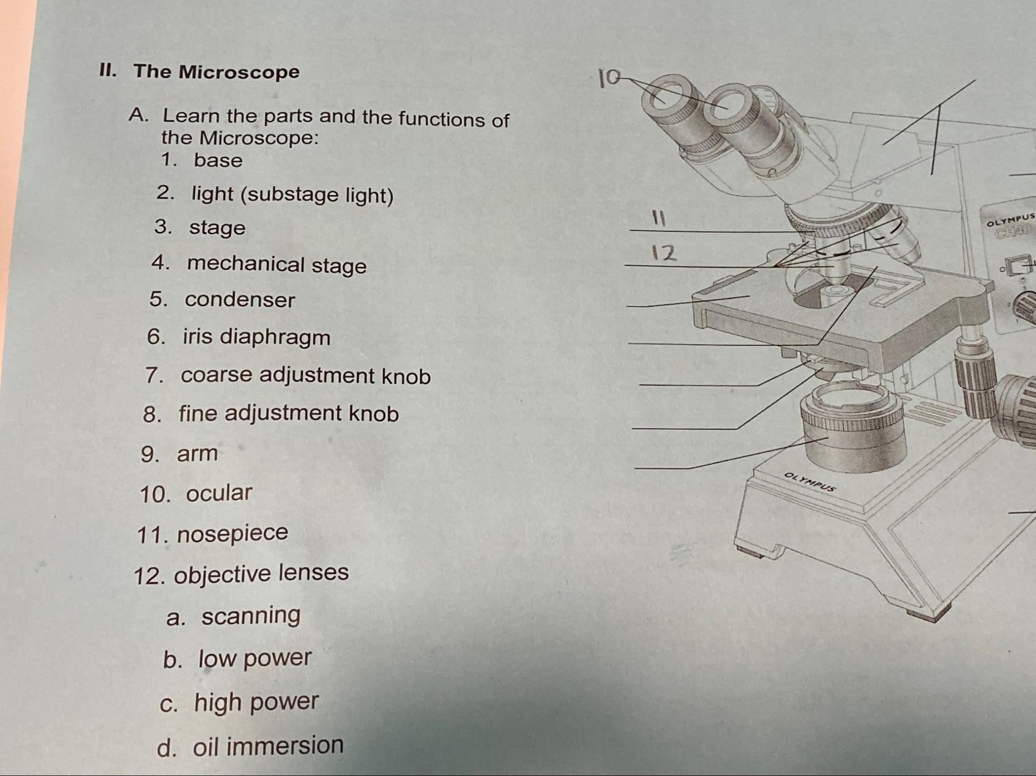 Solved II. ﻿The MicroscopeA. ﻿Learn the parts and the | Chegg.com