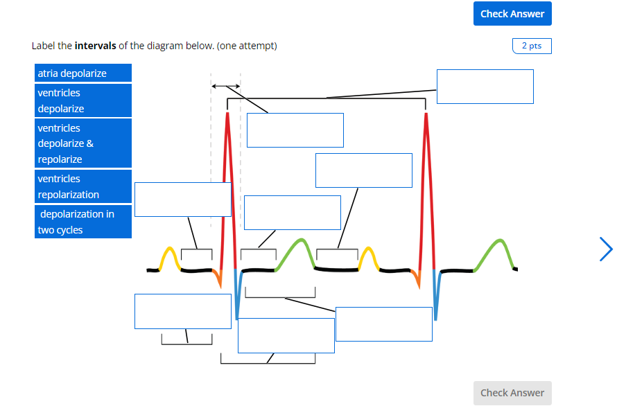 Solved Label the intervals of the diagram below. (one | Chegg.com